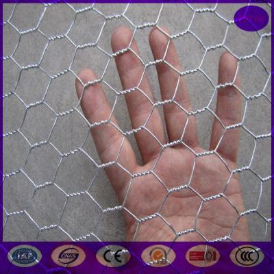 China High quality Chicken hexagonal wire mesh , chicken wire netting for bird cages for sale