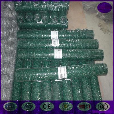 China Plastic coating chicken wire mesh / wire netting fence 20 gauge for landscape for sale