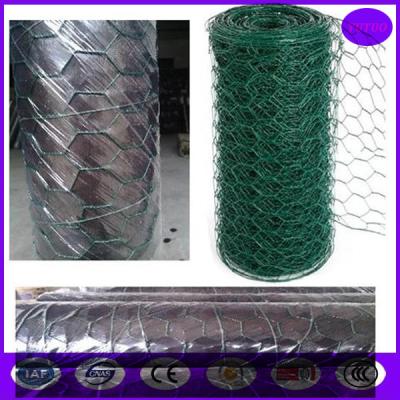 China price of  Plastic Coated Chicken Wire Mesh / Low Carbon galvanised wire mesh rolls for sale