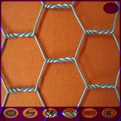 Китай 48" кс 150' фт 1" сетка гальванизировало загородку мелкоячеистой сетки плетения птицы продается