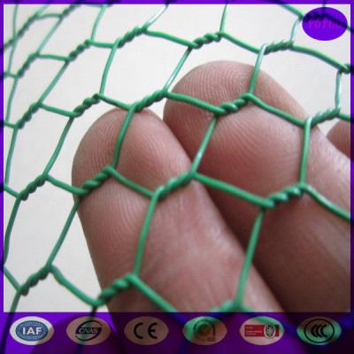 China Green Carbon Steel Chicken Wire Mesh Fencing Electric Poultrynetting from China for sale