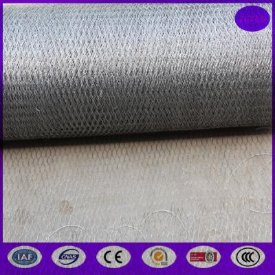 el cercado galvanizado 20m m x 20 indicadores de la red de las aves de corral/las casas de pollo corre