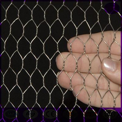China 1/2" or 1" mesh hole Durable Chicken Wire Mesh , Hot Dipped Poultry Netting Fence for sale