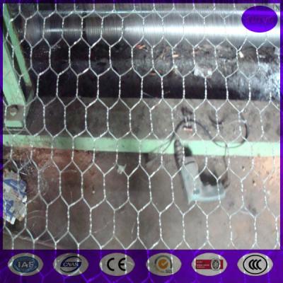 China 72" x 150' ft 1" Mesh Galvanized Poultry Netting Chicken Wire Fence for sale
