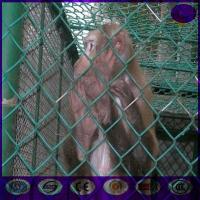 China Plastic/ vinyl coated chain link fence for sale