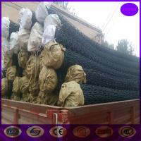 China Plastic/ vinyl coated chain link fence for sale