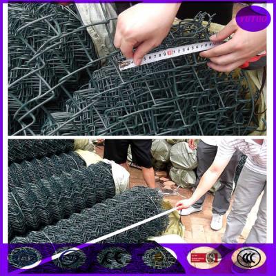China 100mmx100mm roll drak green color chain link fene for sale