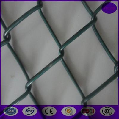 China Hot Used in Australia Beautiful PVC Coated 55*55mm Chain Link Fence for sale