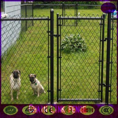 China 8 foot tall  PVC coating Chain Link Fencing made in china with low price for sale