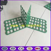China Food Shelf Fence for sale