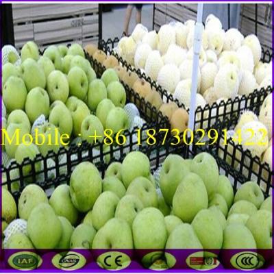China Large Stock of China Store Fruit Stall Shelf Fence with Good Price for sale