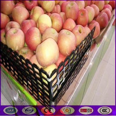 Estantes negros del divisor de la fruta y verdura del hierro con buen precio