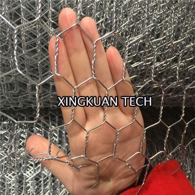 China Poultry Farms Fence , Galvanized Hexagonal Wire , Chicken Mesh Wire for sale
