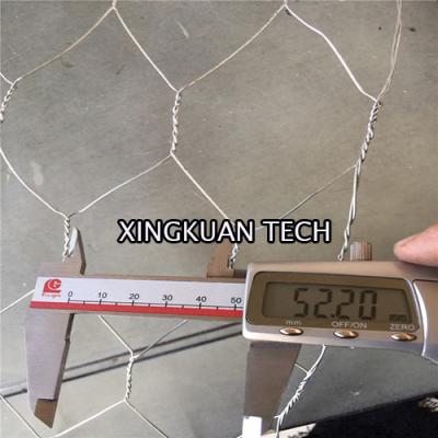 China Poultry Farms Fence , Galvanized Hexagonal Wire , Chicken Mesh Wire for sale