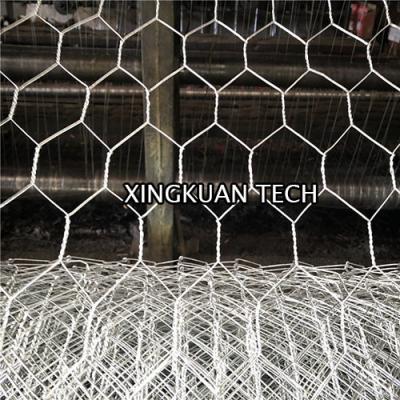China Hot Dipped Chicken Wire Mesh Galvanized , Poultry Wire Netting 2.5m Width for sale