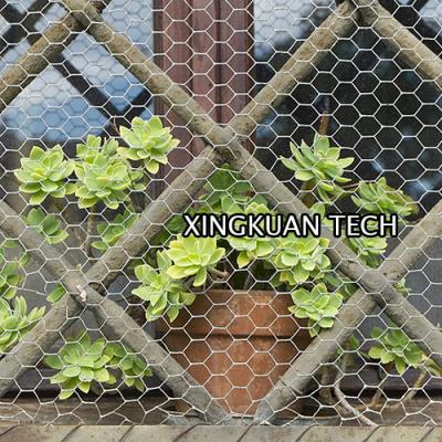 China Hexagonal Wire Mesh , Chicken Wire For Plant Protection for sale