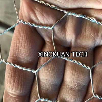 China Hexagonal HDG Chicken Wire Mesh For Poultry Netting 10m 20m Length for sale