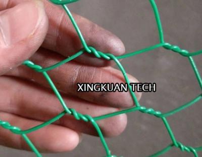 China reverse twist PVC Poultry wire netting  , Poultry Mesh Netting Hexagonal Shape for sale