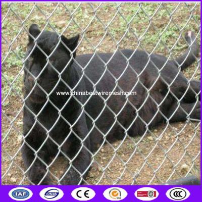 China 50'/100' Galvanized (zinc coating) chain link fence, 6/9/11 gauge, 50x50mm mesh size for sale