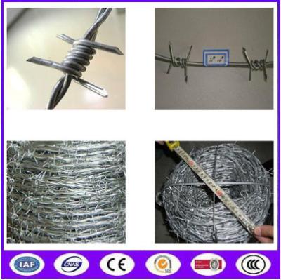 China Hot Dipped Galvanized Babred Wire with best quality in Chinba for sale