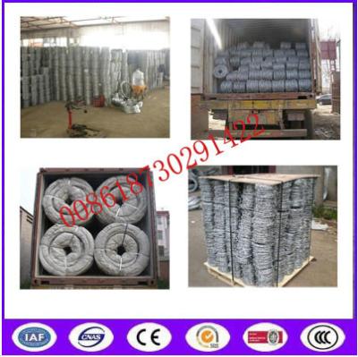 China China galvanized barbed wire/  factory directly barbed wire for sale for sale