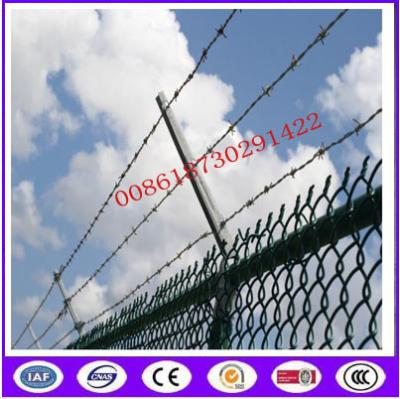 China High Tensile Strength Galvanized Barbed Wire/ Good Used barb wire in Protecting Fields/ barb wire fence for prison for sale
