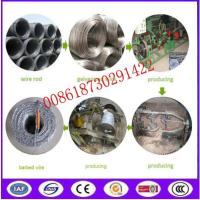 China Galvanized barbed wire coil 12x12 for sale