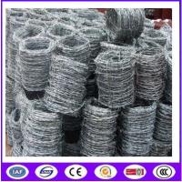 China Galvanized barbed wire coil 12x12 for sale