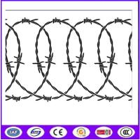 China Zimbabwe Market Galvanized Double Barbed Wire for sale