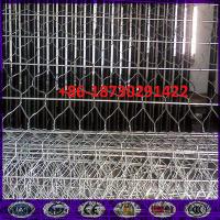 China Road Mesh,Reinforced Hexagonal Wire Netting,Pavement Reinforcement Gab for sale