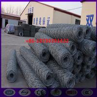 China Road Mesh,Reinforced Hexagonal Wire Netting,Pavement Reinforcement Gab for sale