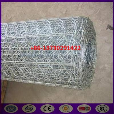 China Road Mesh,Reinforced Hexagonal Wire Netting,Pavement Reinforcement Gabion for sale
