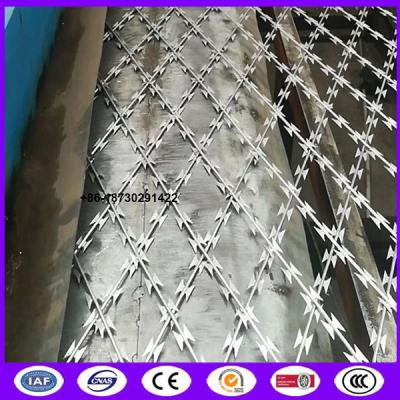 China High security welded razor wire mesh with blade type BTO-22 made in China for sale