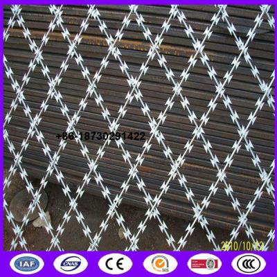 China High security welded razor wire mesh with blade type BTO-22 for fence barrier in Prison made in China for sale
