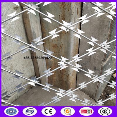 China High security welded razor wire mesh with blade type BTO-22 for fence barrier in Prison made in China for sale