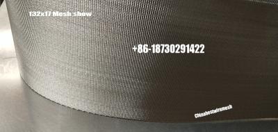 China Selling Automatic Belt Screen Filter in 132/17 mesh 127mm width made in China for sale