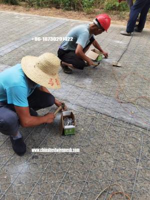 China Reinforced mesh for asphalt concrete pavement with environment and save cost advantage for sale