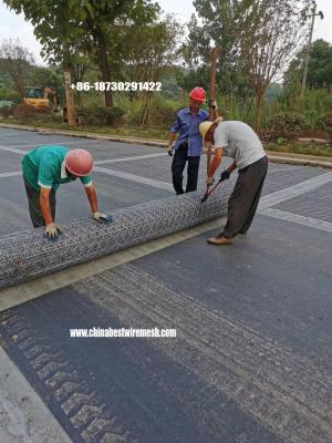 China Reinforced gabion /hexagonal mesh net in the construction of highway white to black made in china for sale