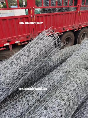 China Galvanized reinforced hexagonal mesh asphalt pavement subgrade for sale