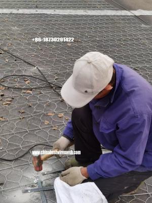 China Galvanized reinforced hexagonal mesh asphalt pavement subgrade for sale