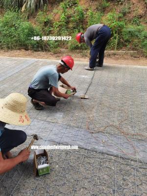 China Gabion road reinforced planar grid material used for the structural reinforcement of asphalt pavements for sale