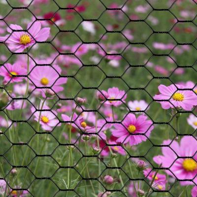 China PVC Coated Hexagonal Wire Netting / Chicken Wire Mesh for sale
