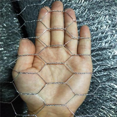 China Hot Dipped Galvanized Hexagonal Wire Netting Chickenwire for sale