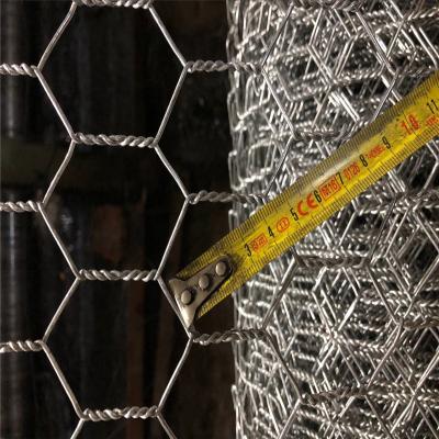 China Hot Dipped Galvanized Hexagonal Wire Netting Chickenwire for sale