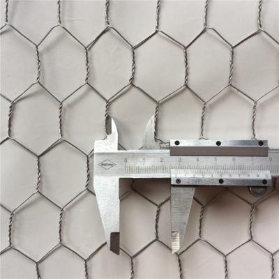 China 25mmx25mm Hexagonal Chicken Wire Mesh for sale