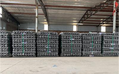 China Hexagonal Wire Mesh Hot Dipped Galvanized Before Weaving for sale