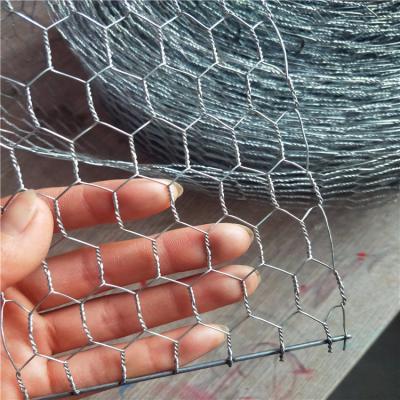 China Hexagonal Wire Netting for Chicken Wire for sale