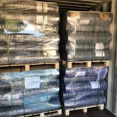 China Hexagonal Wire Netting for Chicken Wire for sale