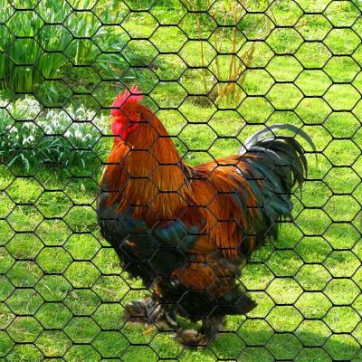 China Hexagonal Wire Netting for Chicken Wire for sale