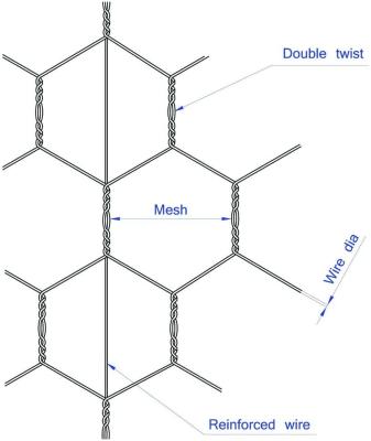 China Chicken Wire Mesh for Poultry Netting/ Hexagonal Wire Netting for sale